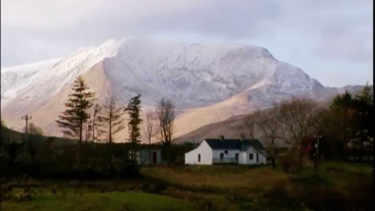 Cathy Maguire Official Website